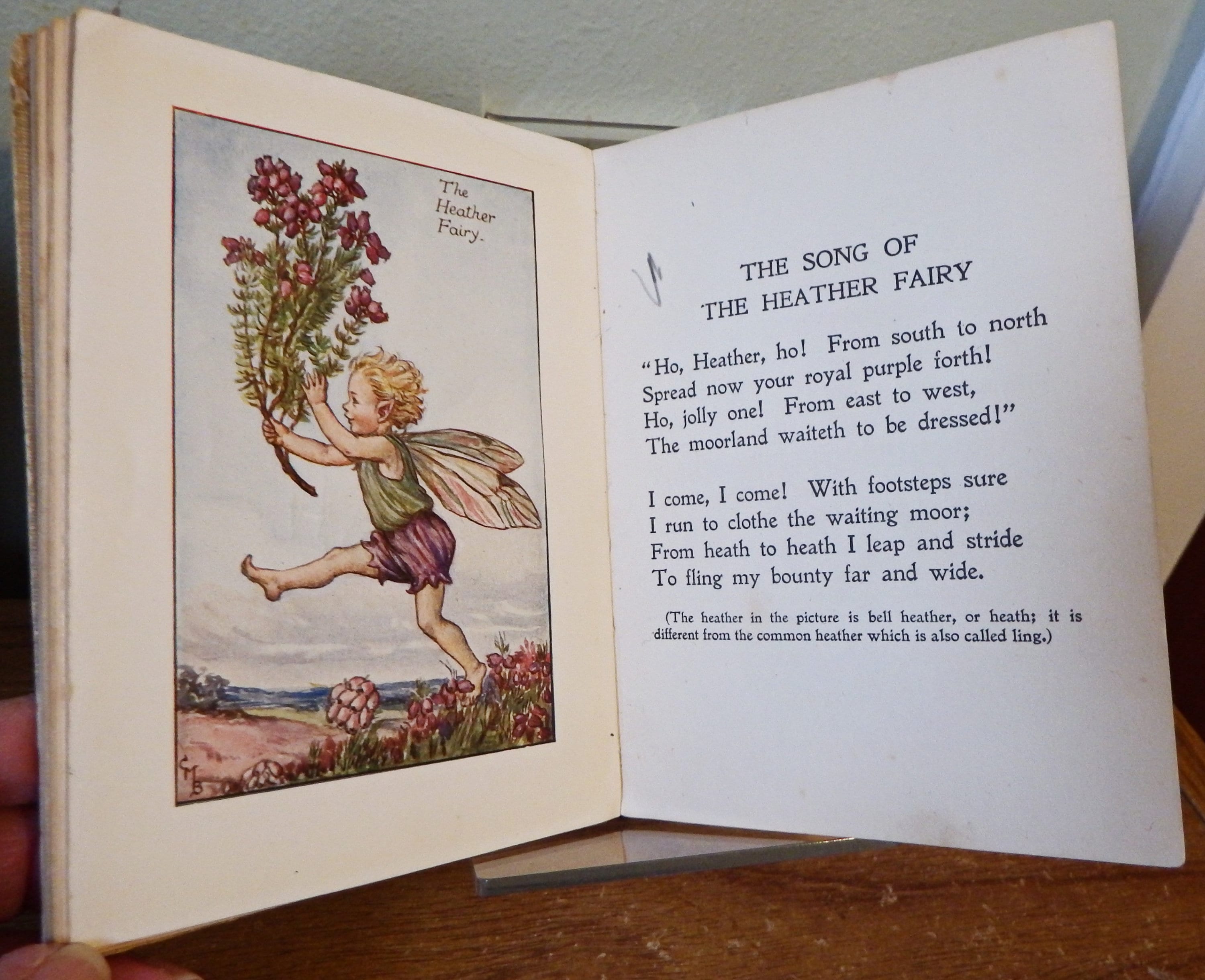 Cicely Mary Barker Vintage Book, Flower Fairies of the Summer, Flower ...