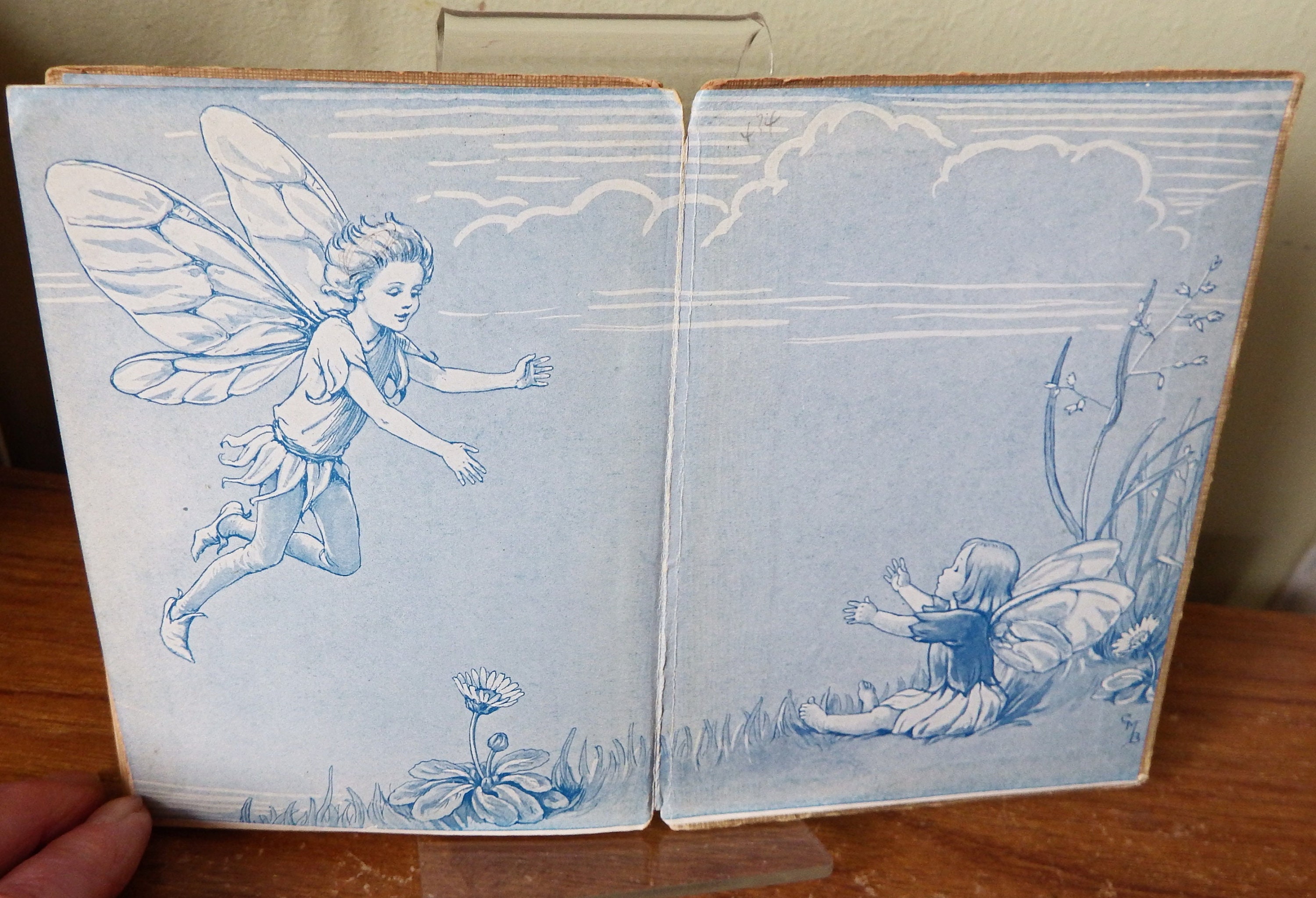 Cicely Mary Barker Vintage Book, Flower Fairies of the Autumn, Flower ...