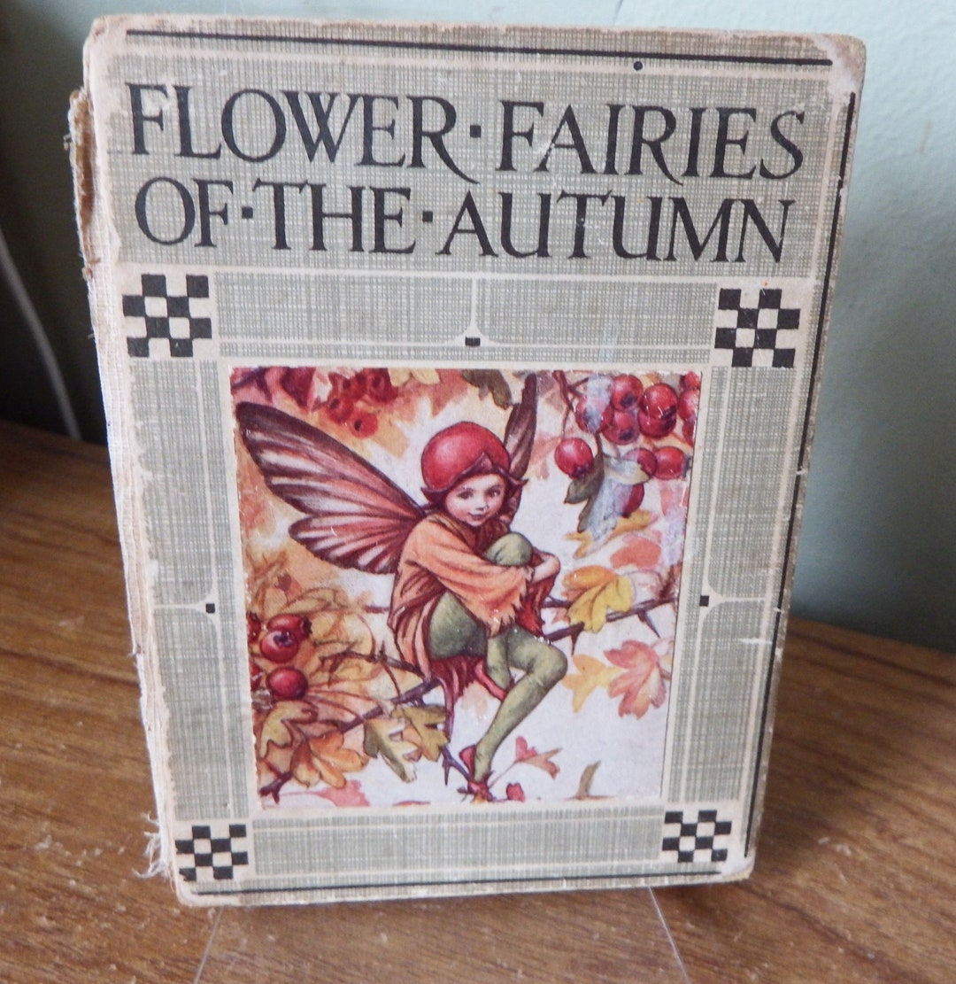 Cicely Mary Barker Vintage Book, Flower Fairies of the Autumn, Flower ...