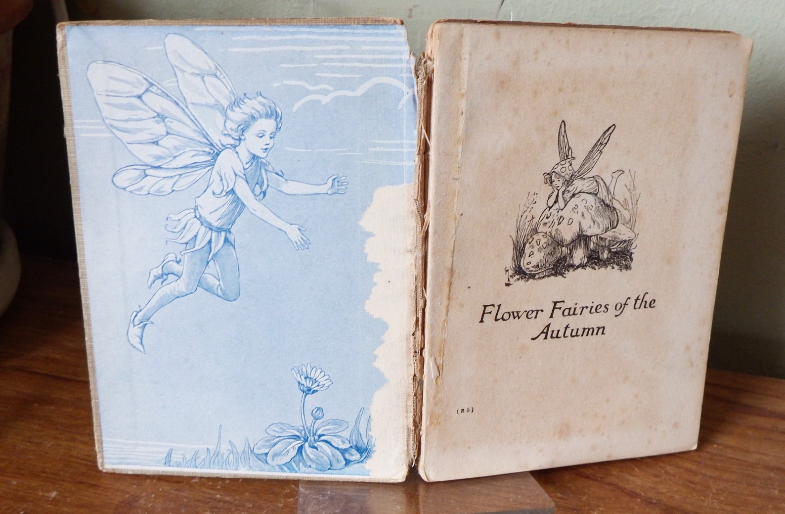 Cicely Mary Barker Vintage Book, Flower Fairies of the Autumn, Flower ...