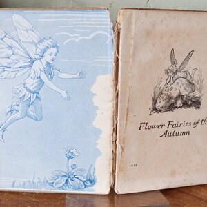 Cicely Mary Barker Vintage Book, Flower Fairies of the Autumn, Flower ...
