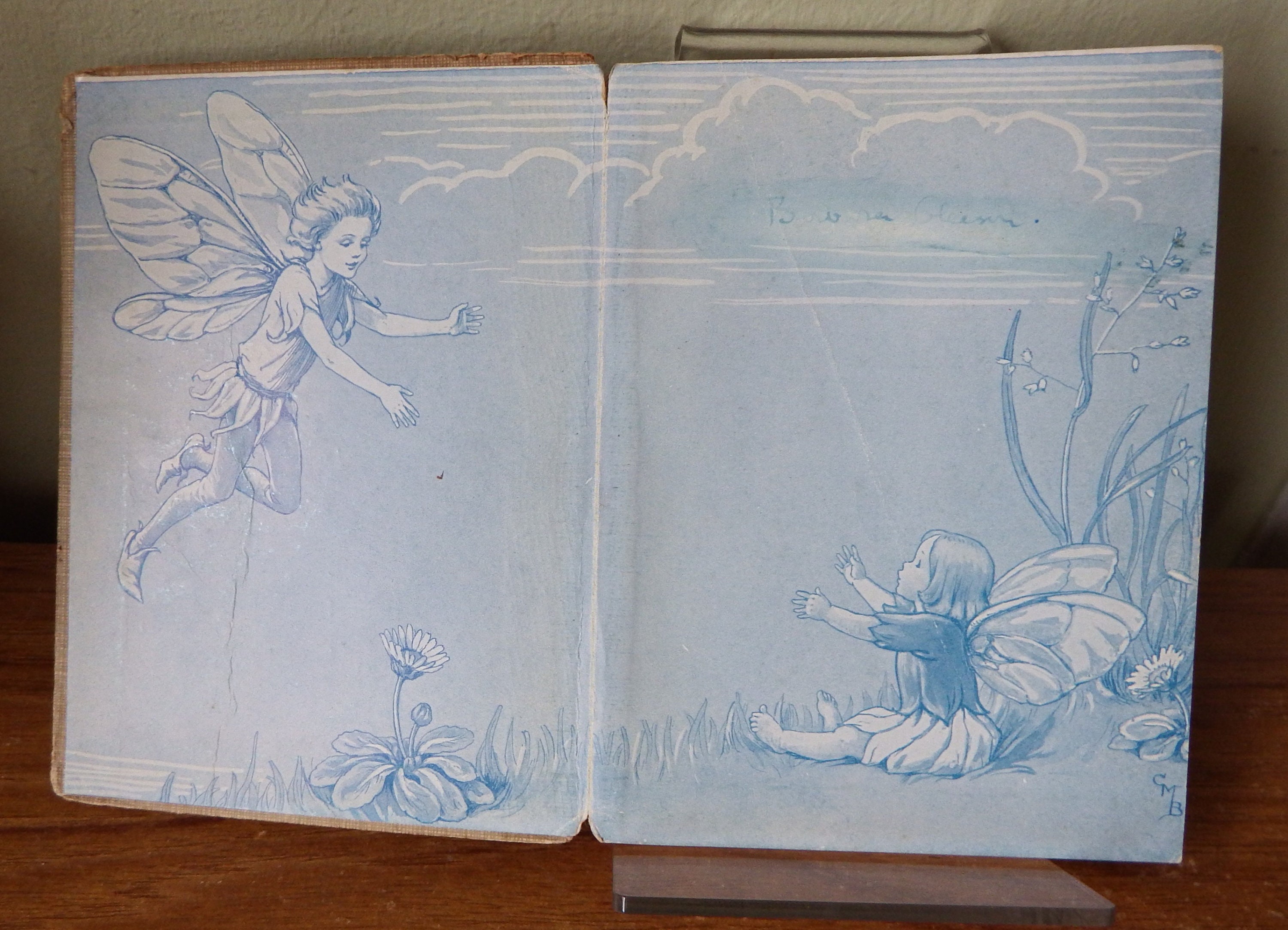 Cicely Mary Barker Vintage Book, Flower Fairies of the Summer, Flower ...