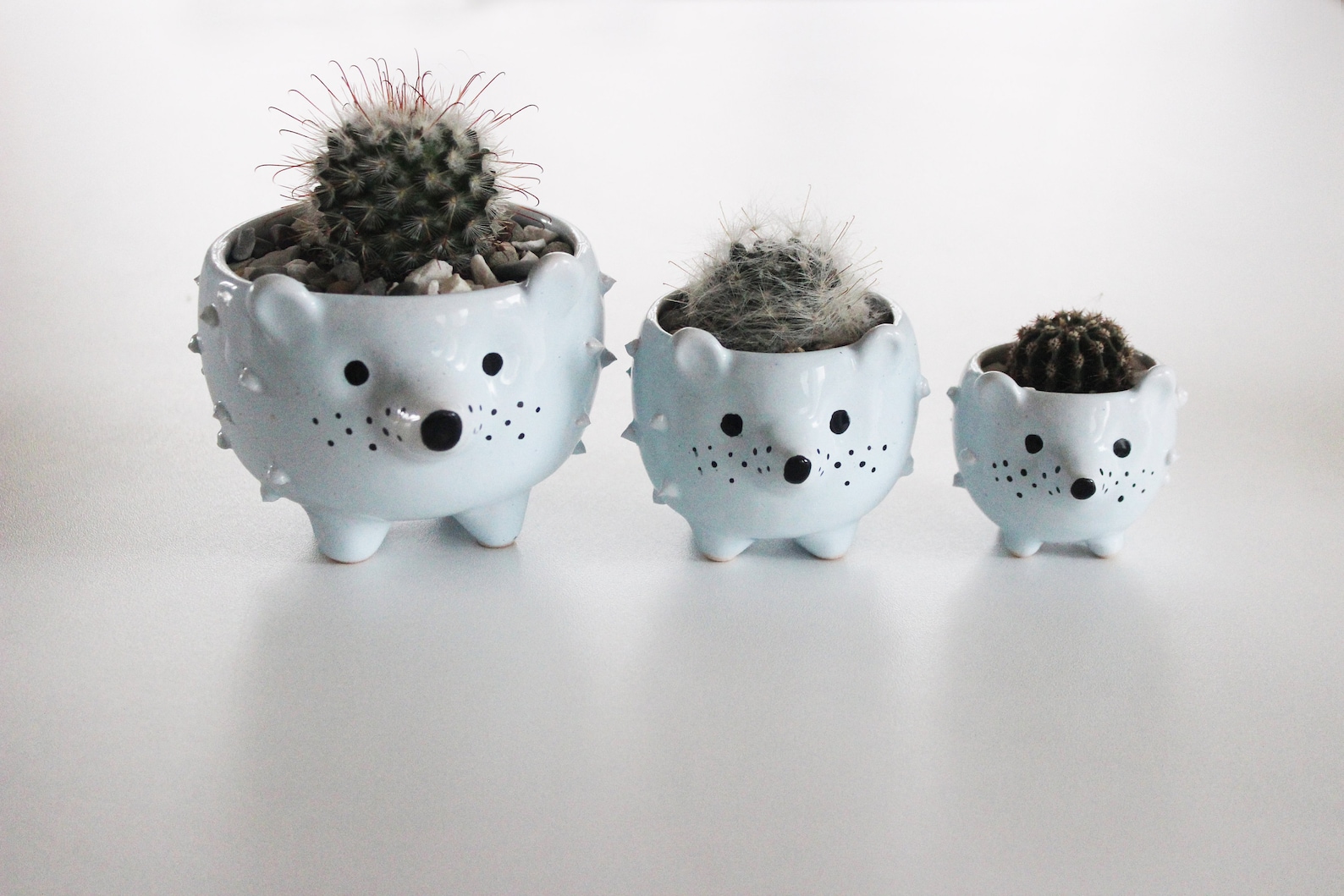 Hedgehog Pottery Indoor Flower Pot | Blue Gray Cactus Dish | Small ...