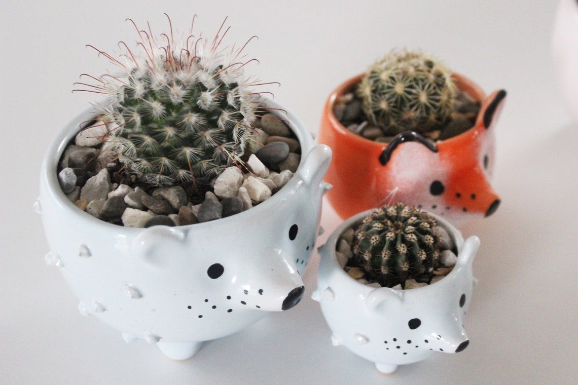 Hedgehog Pottery Indoor Flower Pot | Blue Gray Cactus Dish | Small ...