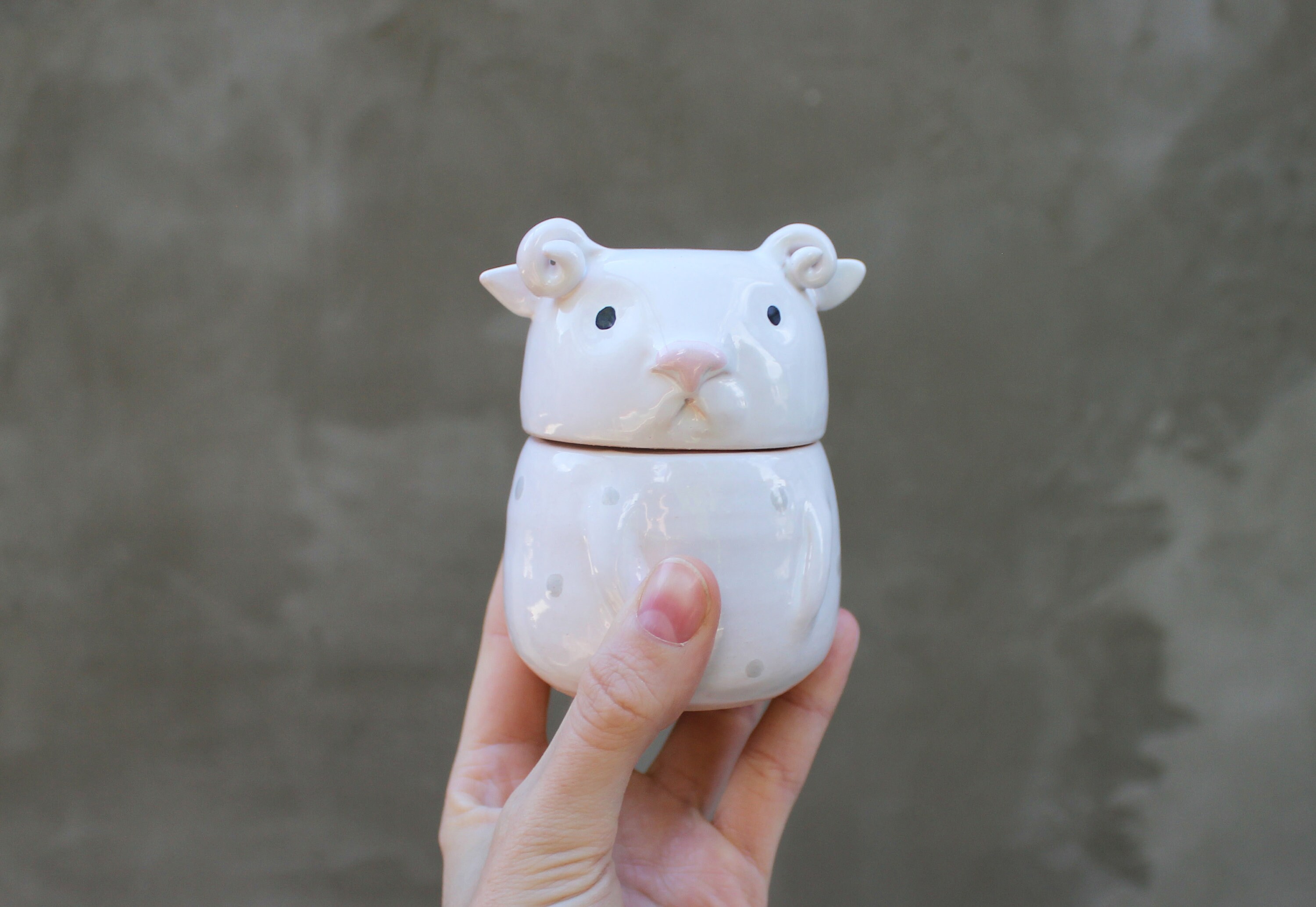 Pottery Storage Container Set of 4, Cow Pig Rabbit Sheep Jars With Lid ...