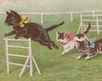 Original 1900s Cats Pulling a Cart Artist Helena Maguire Postcard Vintage Cat Victorian ...