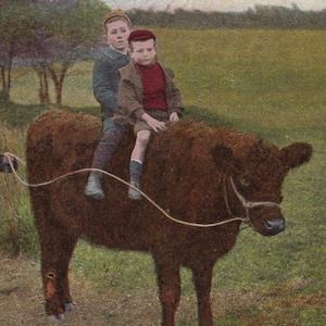 Original 1900s Little Boys Riding a Cow Antique Postcard - Vintage ...