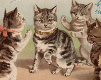 Helena Maguire Cats - Etsy