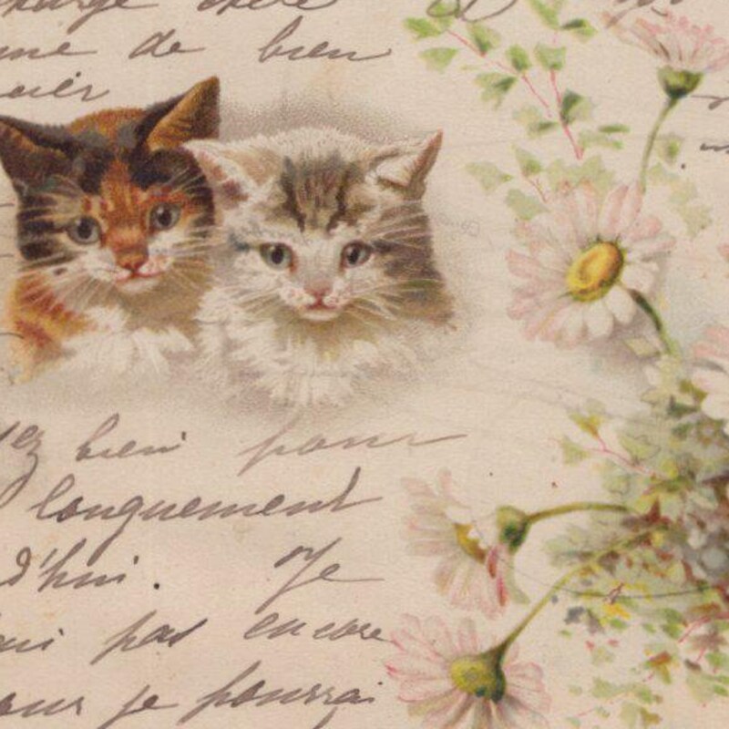 Helena Maguire Cats - Etsy