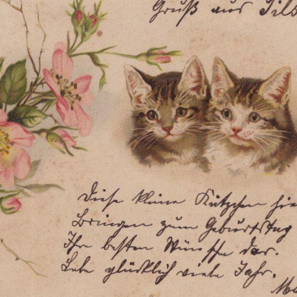 Helena Maguire Cats - Etsy