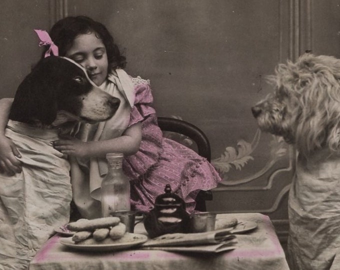 1900s Pointer & Poodle With Little Girl Having a Tea Party Antique ...