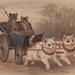 Original 1900s Cats Pulling a Cart Artist Helena Maguire Postcard ...