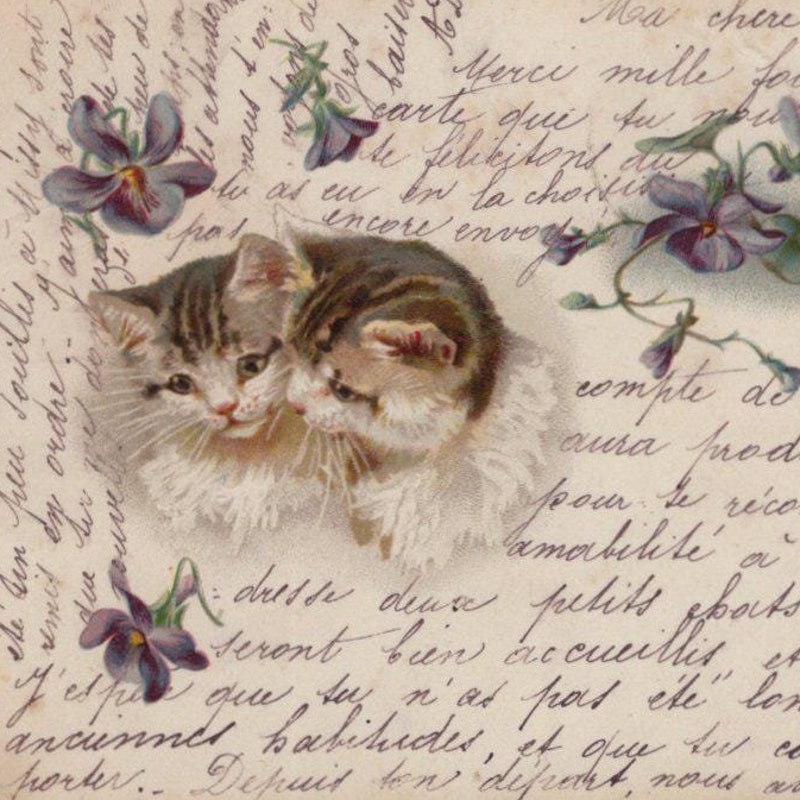 Helena Maguire Cats - Etsy