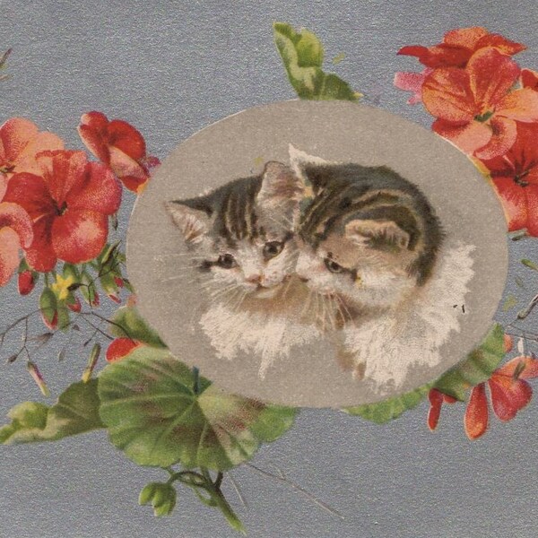 Helena Maguire Cats - Etsy