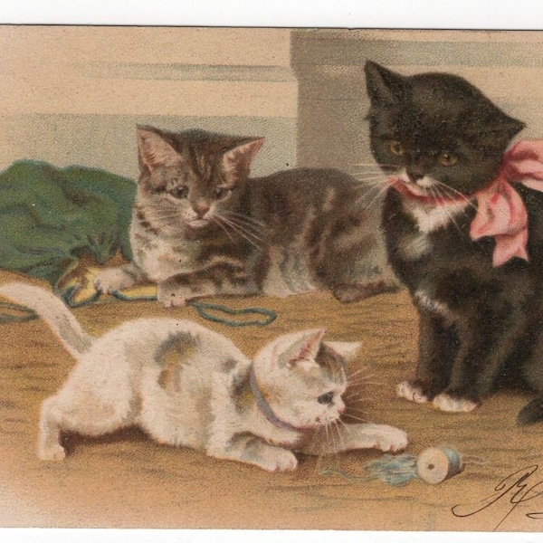 Helena Maguire Cats - Etsy