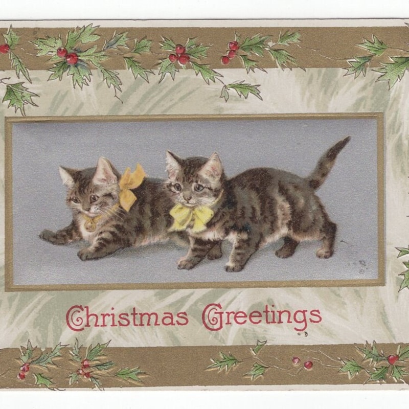 Helena Maguire Cats - Etsy