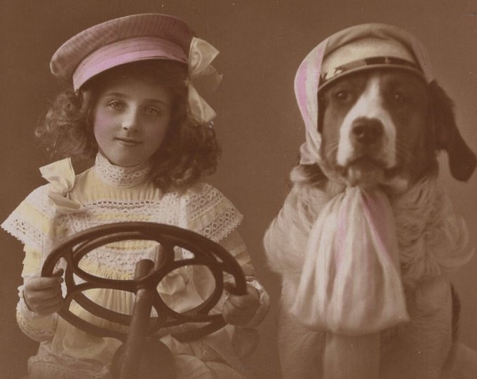 Original 1910s Little Girl Driving a St Bernard Antique Photo Postcard ...