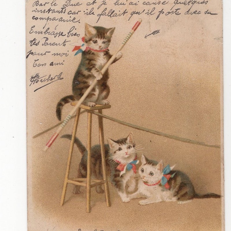 Helena Maguire Cats - Etsy