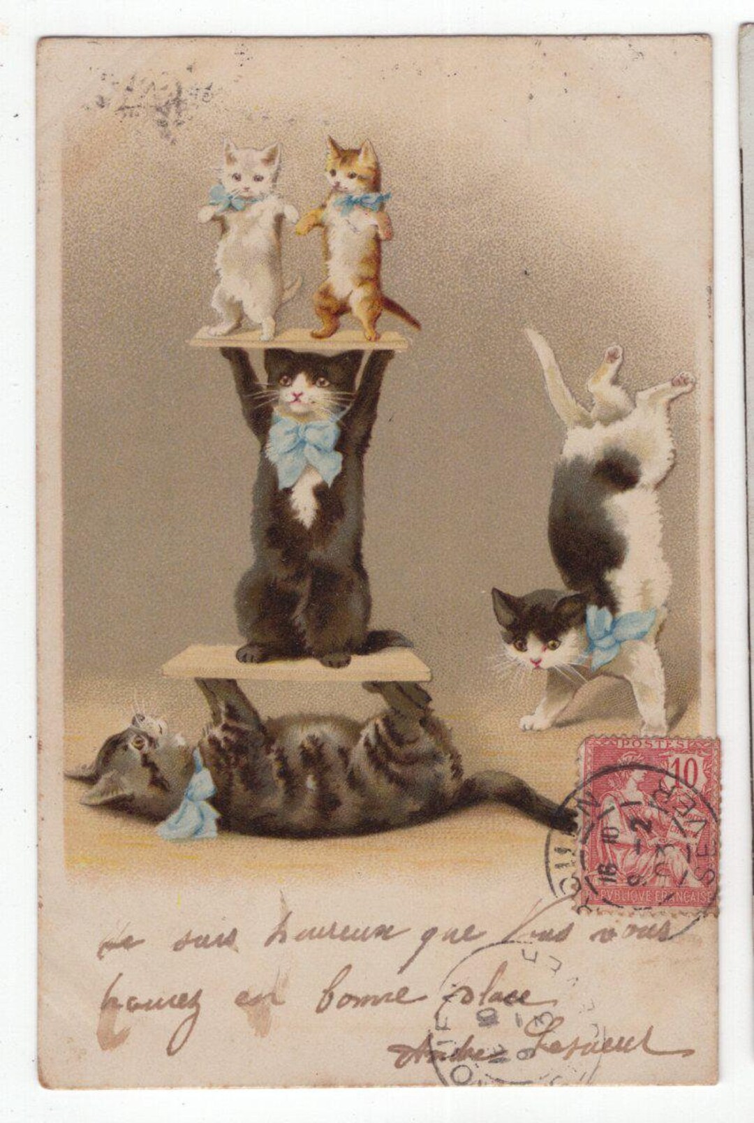 Original 1900s Anthropomorphic Circus Acrobat Cats Artist Helena ...