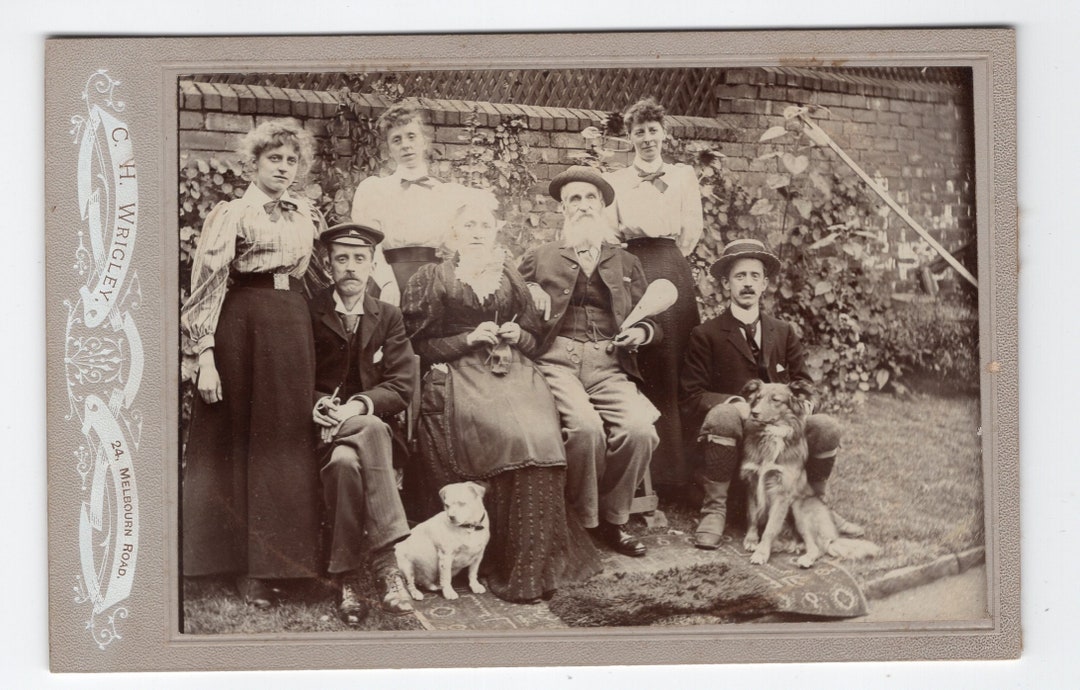 1880s Family With Bulldog and Rough Collie Dog Cabinet Card Photo ...