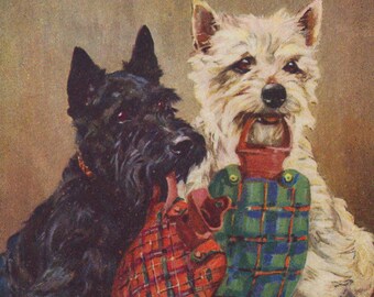 Original 1940s Scotty in a Tam O' Shanter Antique Artist Illustrated ...