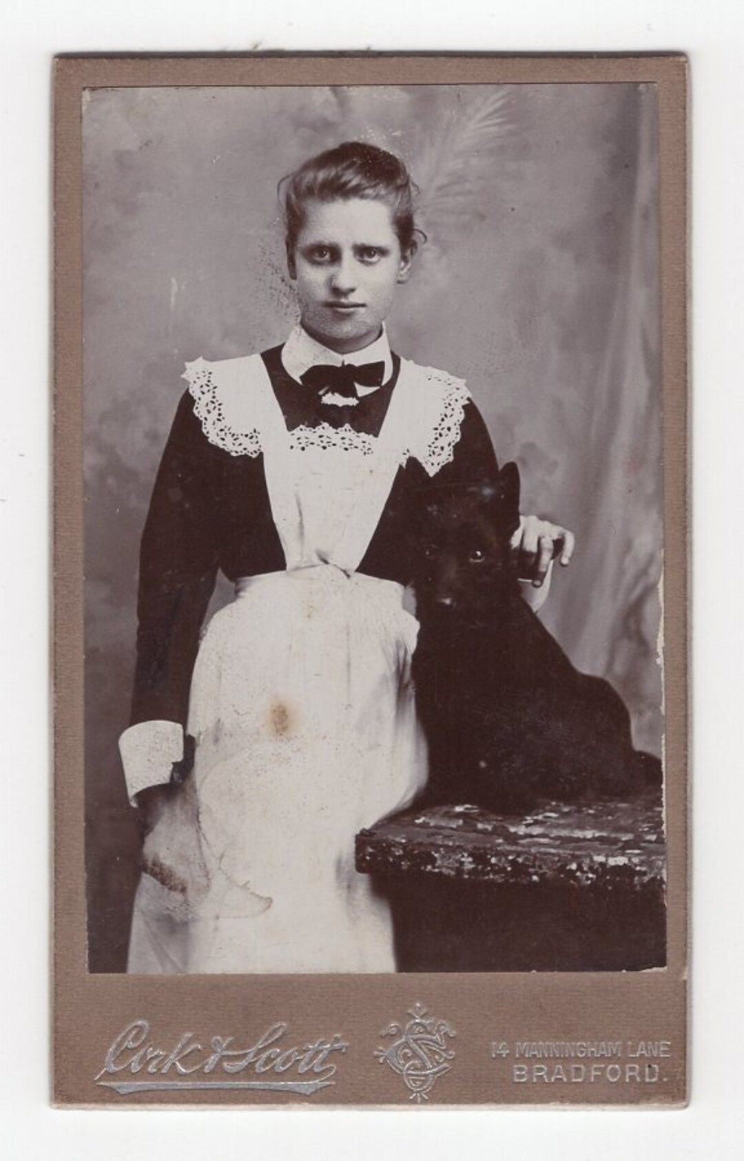 Original 1880s Housemaid & Scottish Terrier Dog CDV Photo Carte De ...