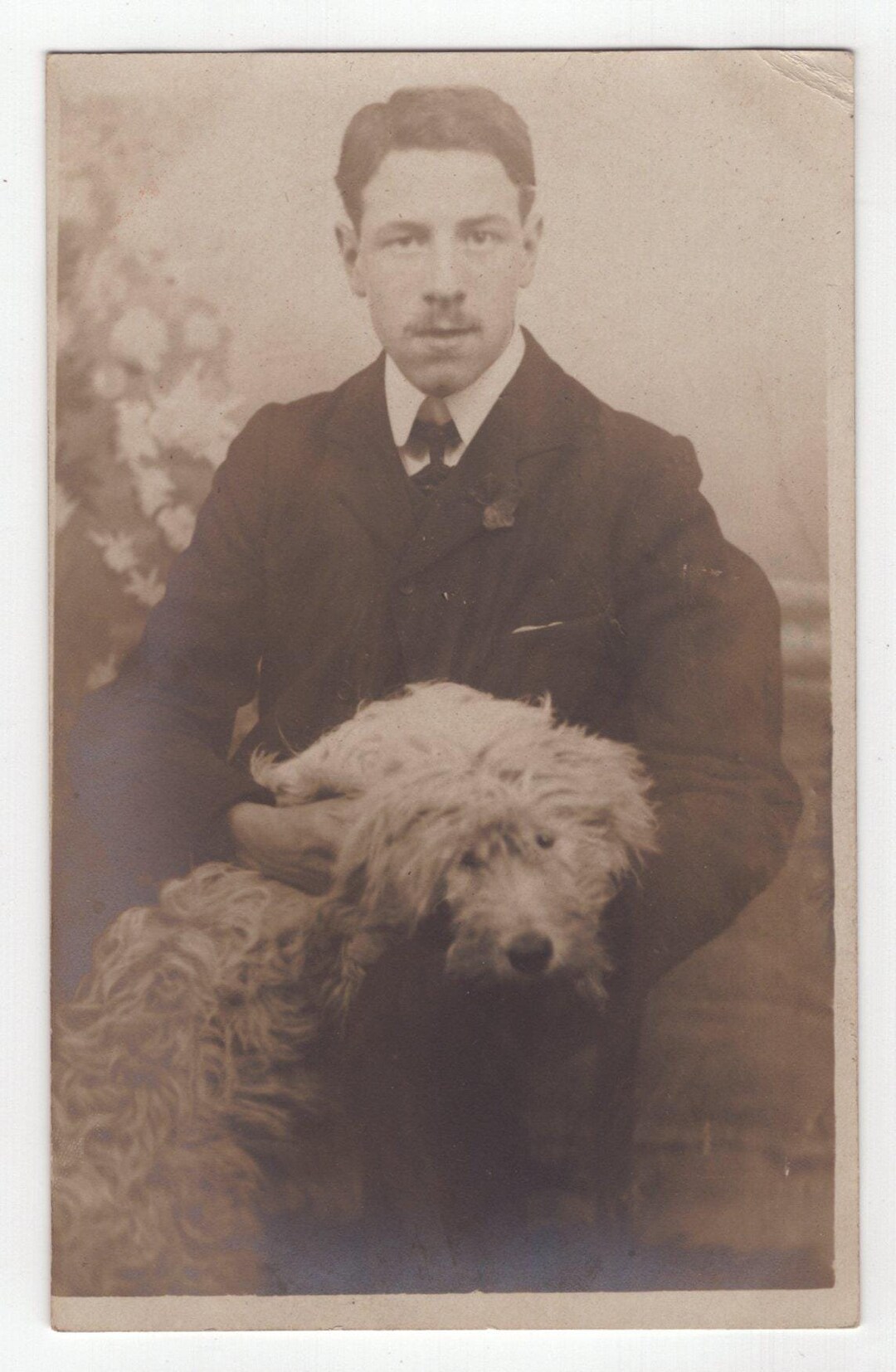 Original 1910s Man and Scruffy Terrier Antique Real Photo Postcard ...