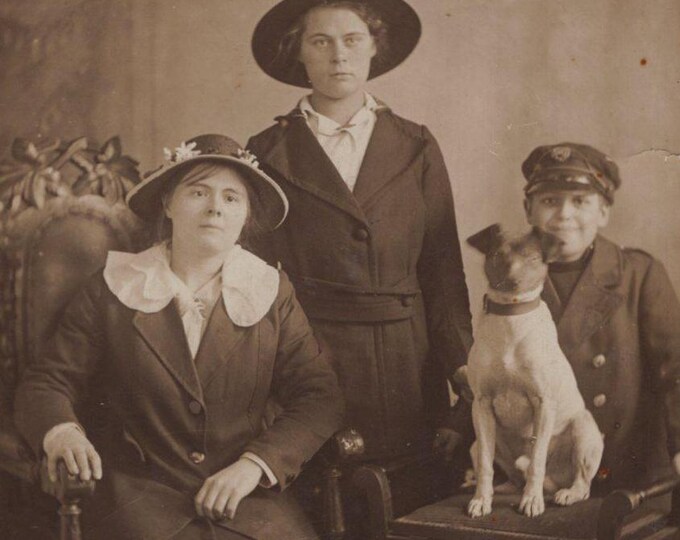Original 1910s Family & Cute Jack Russell Terrier Real Photo Postcard ...