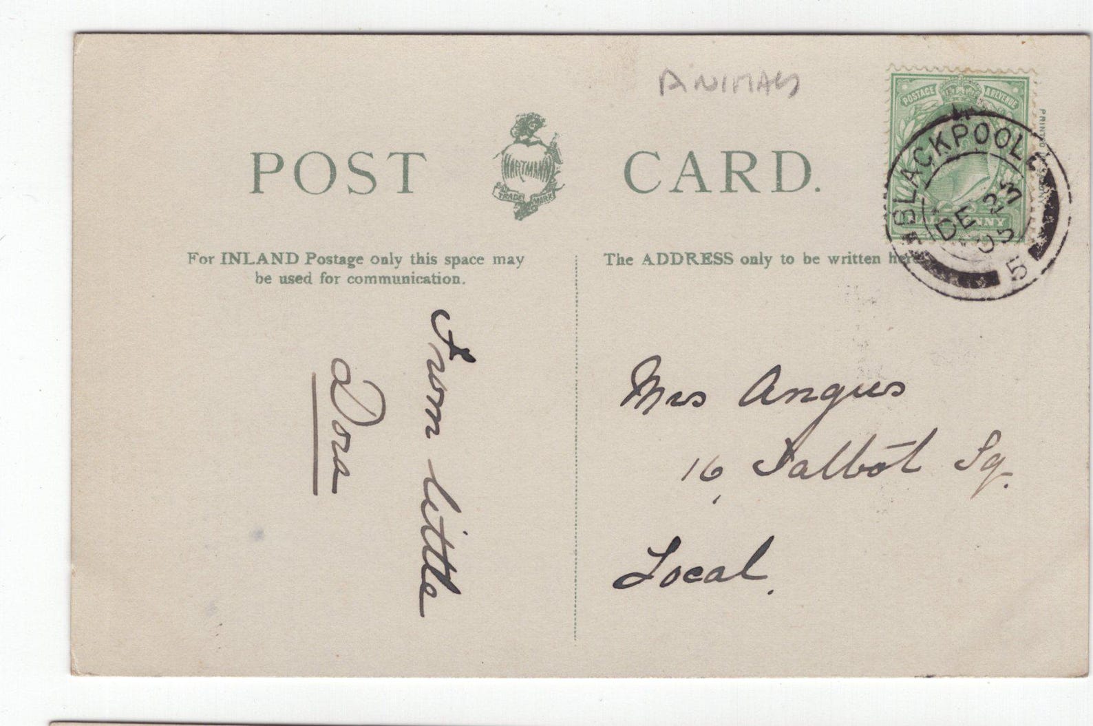 Original 1900s Darling Persian Kittens With a Parasol Antique Postcard ...