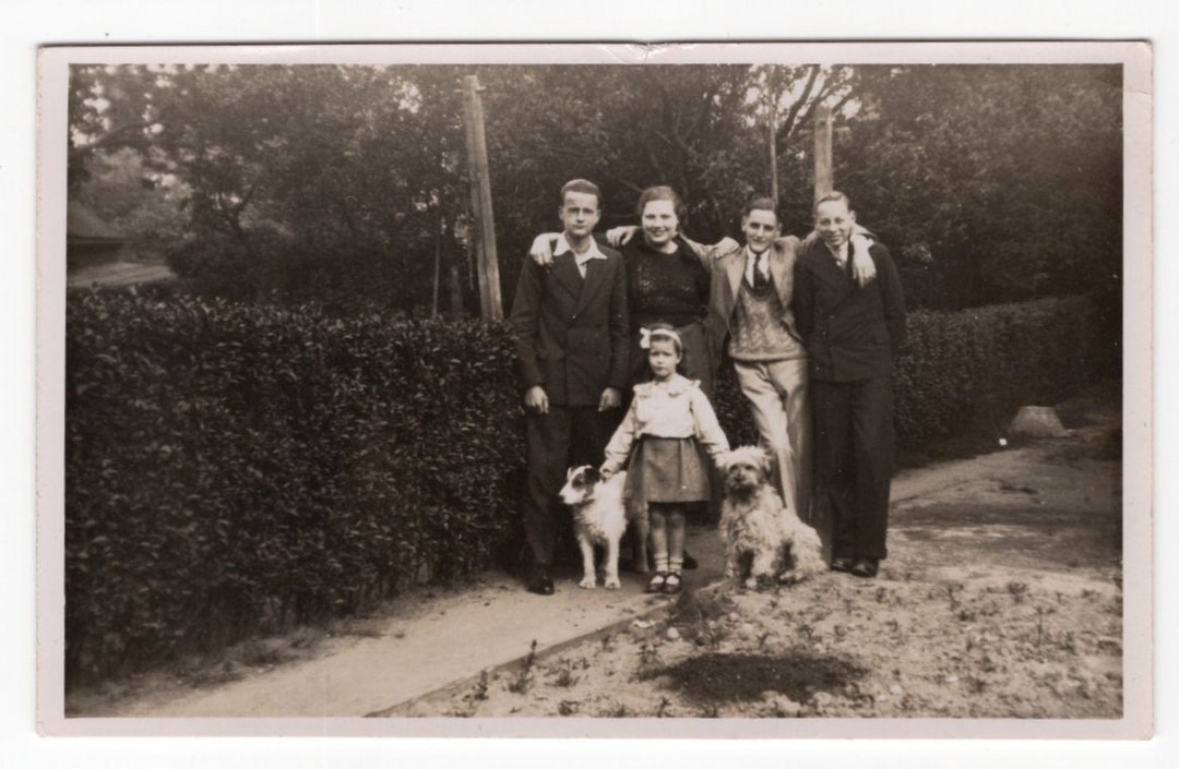 Original 1940s Scruffy Terriers & Family Antique Real Photo Postcard ...