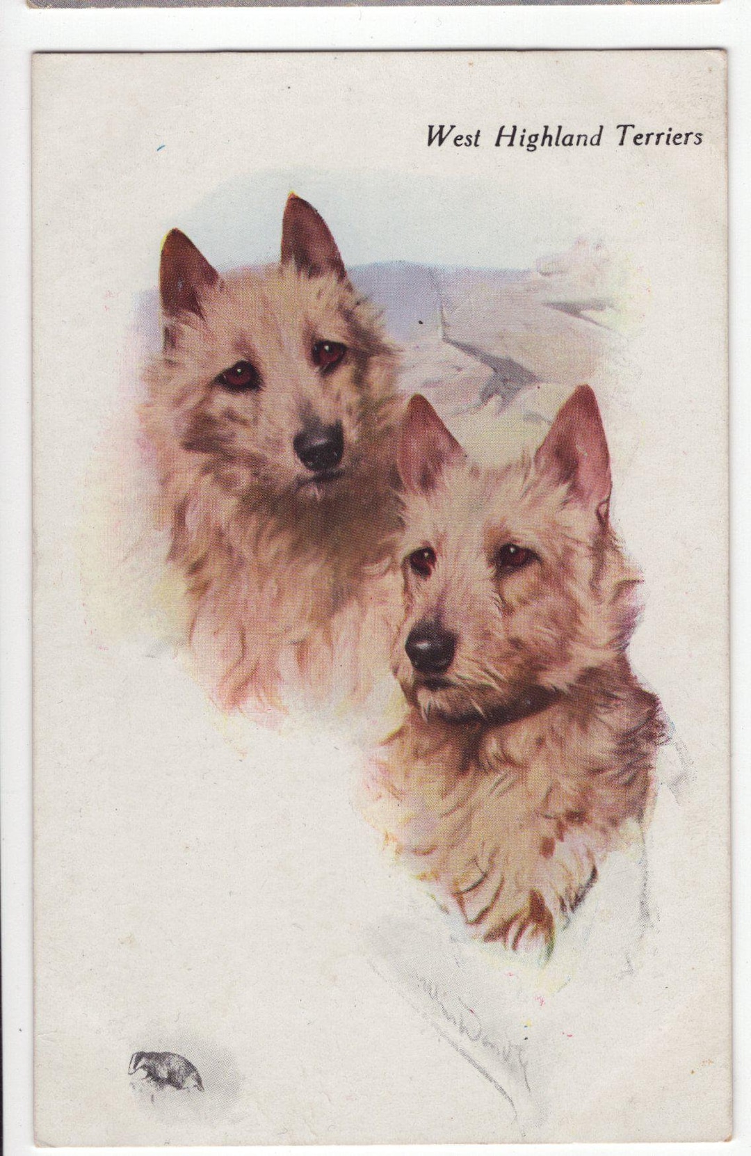 Original 1910s West Highlight White Terriers Artist Signed Illustrated ...