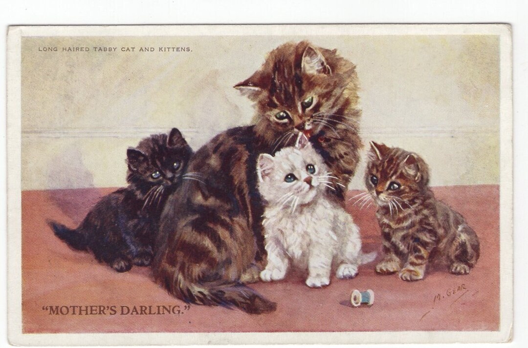 Original 1950s Pretty Persian Cat & Kittens Mabel Gear Artist Postcard ...