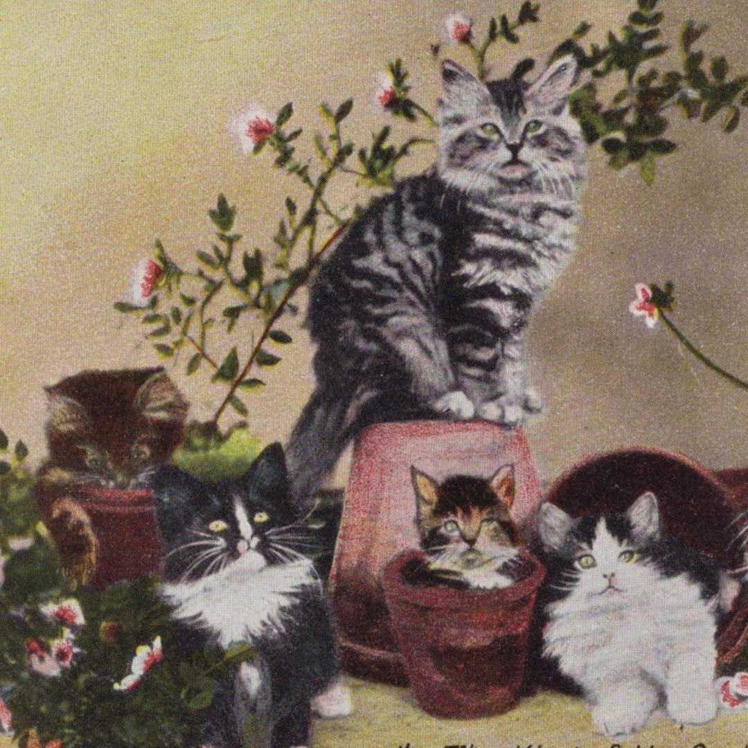 Original 1900s Darling Kittens in Flower Pots Antique Postcard ...