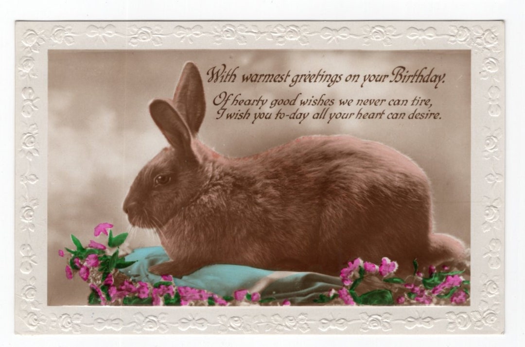 Original 1930s Rabbit & Flowers Real Photo Postcard - Antique Vintage ...
