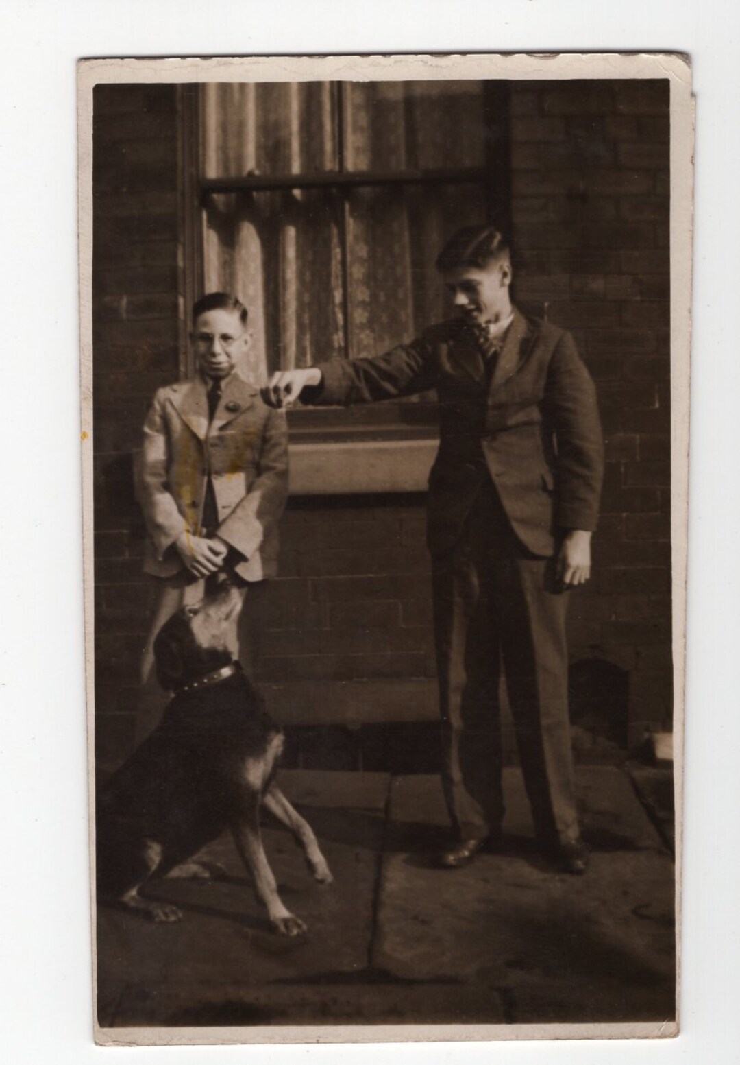 Original 1910s Little Boys & Dog Real Photo Postcard - Antique Vintage ...