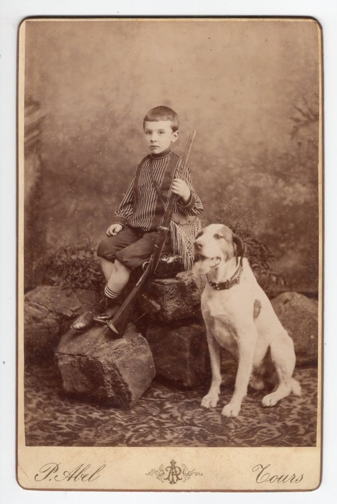 Original 1880s Pointer & Boy With a Shotgun Cabinet Card Photo ...