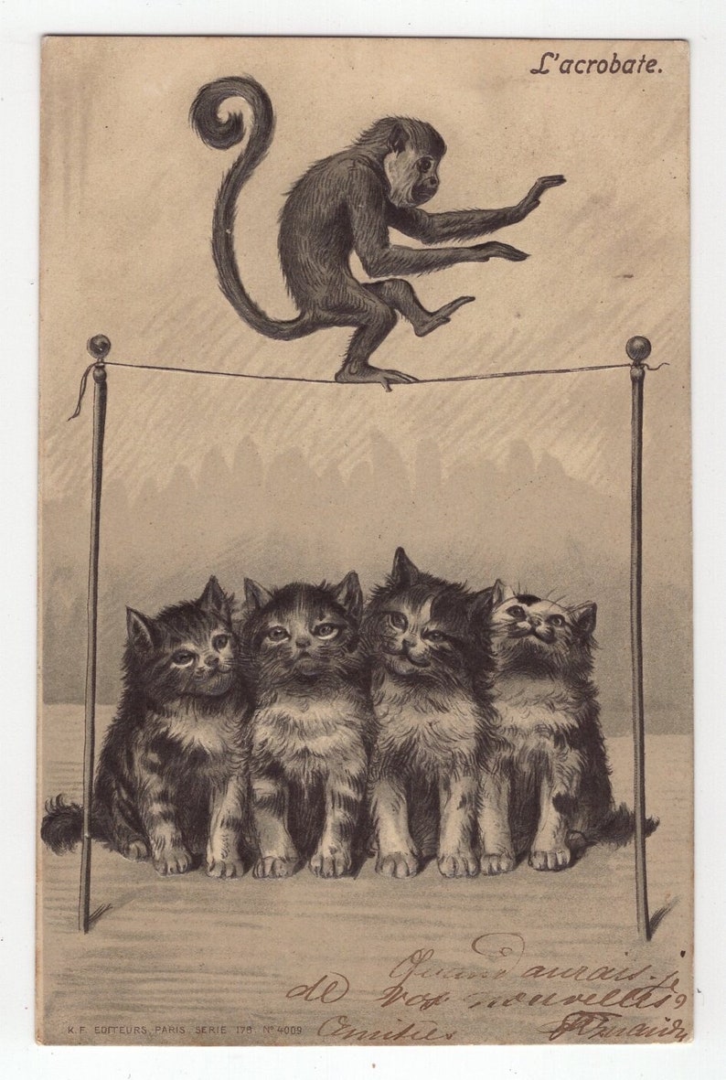 Original Monkey on Tightrope With Kittens Artist Embossed Postcard ...