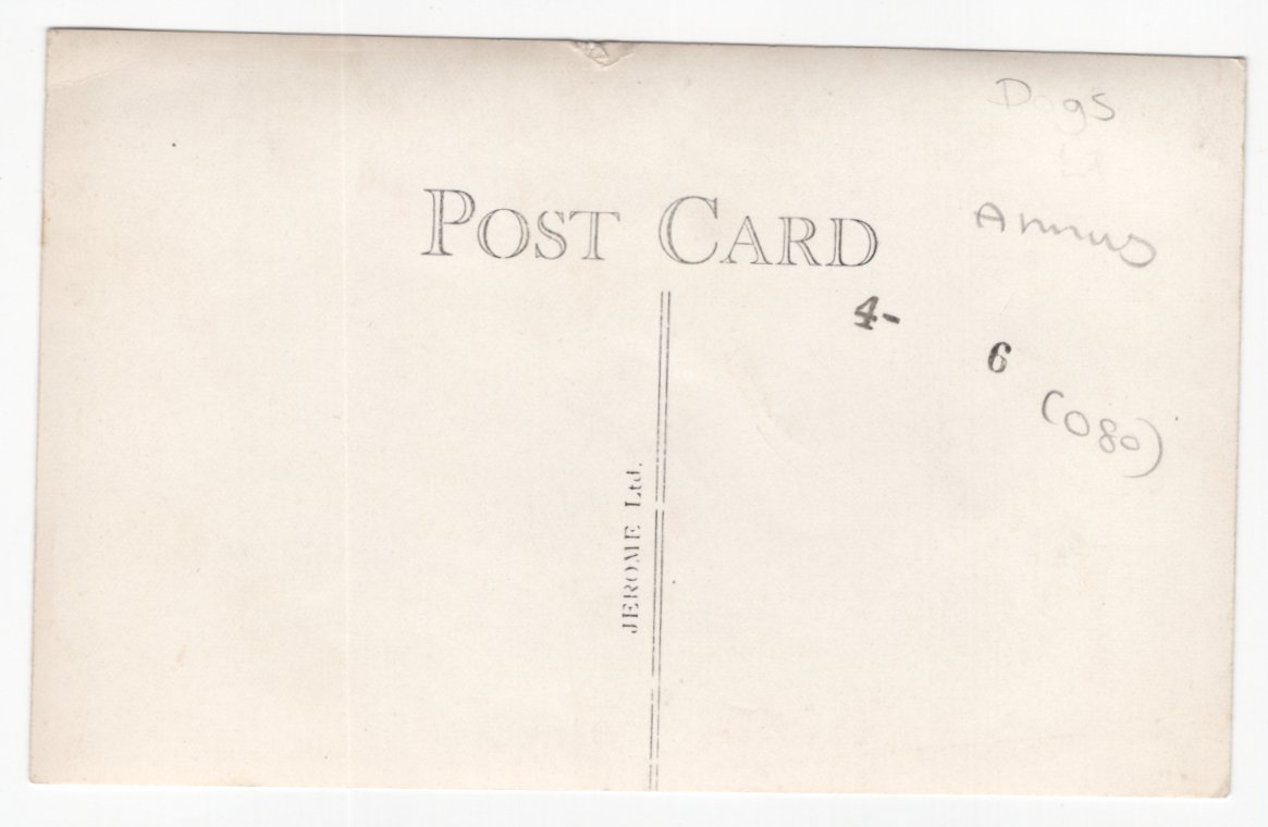 Original 1940s Scruffy Terriers & Family Antique Real Photo Postcard ...