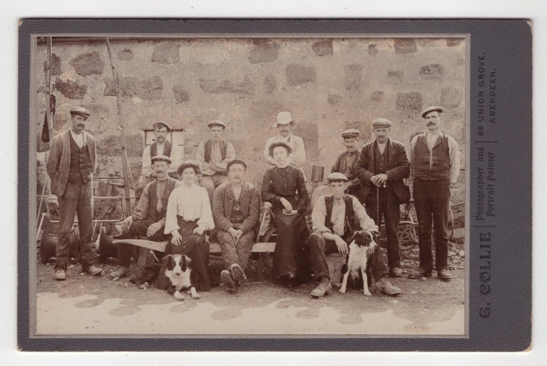 Original 1880s Workers and Border Collies Cabinet Card Photo - Antique ...