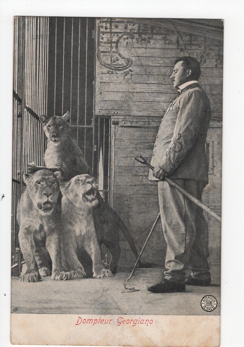 Circus Lion Tamer With Stool