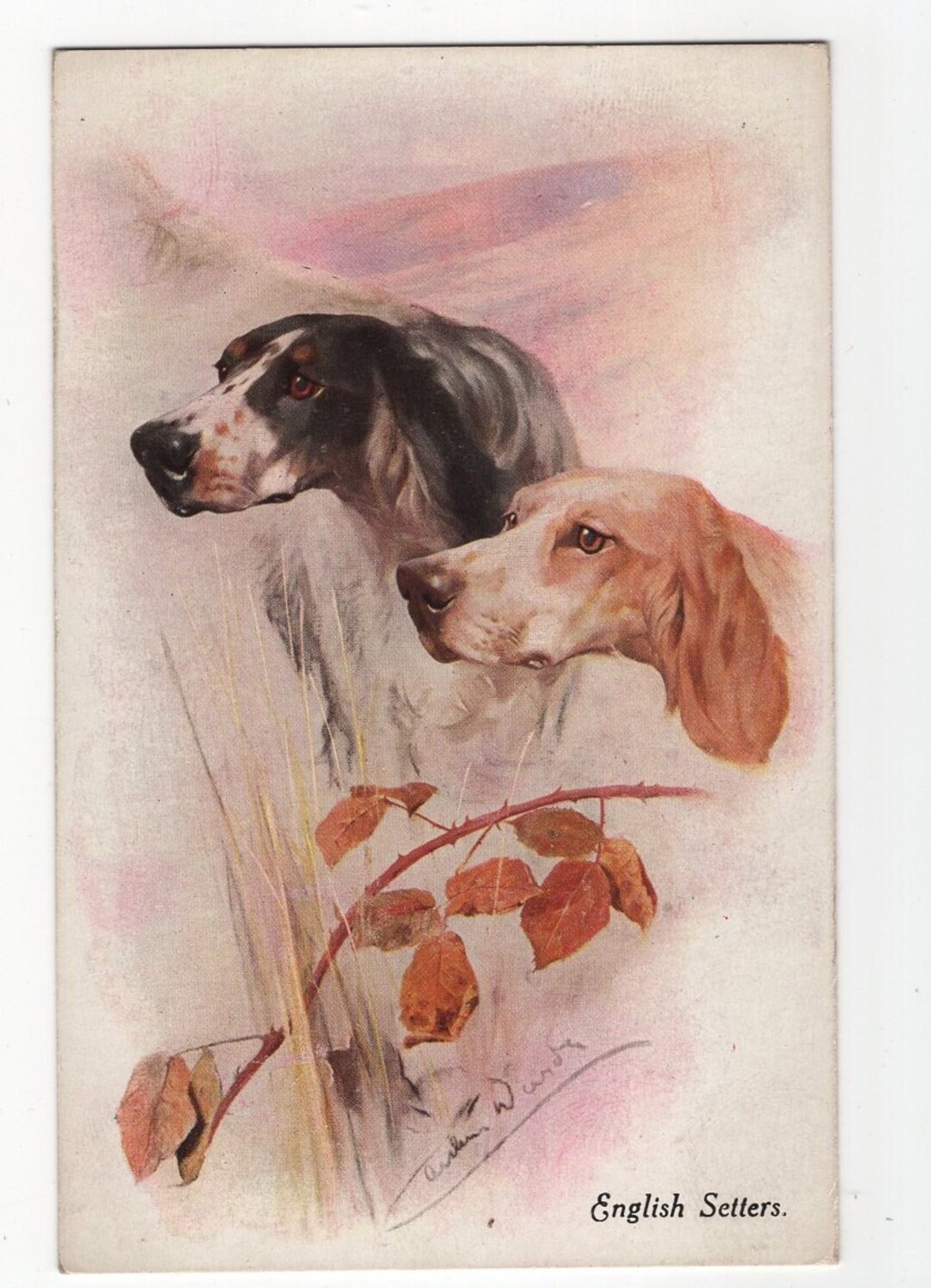 Original 1910s English Setters Artist Signed Illustrated Antique ...