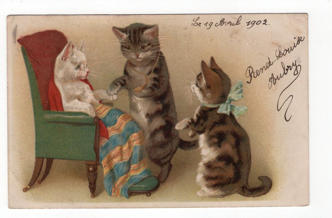 Original 1900s Anthropomorphic Doctor Cats Artist Helena - Etsy