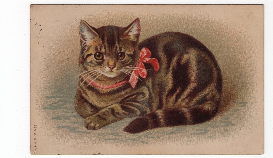 Original 1900s Beautiful Tabby Cat Artist Dorothy Travers Pope Postcard ...
