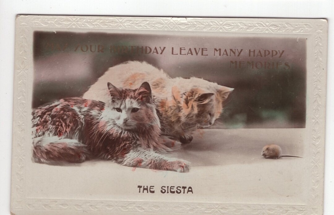 Original 1920s Cats With a Mouse Antique Real Photo Postcard - Vintage ...