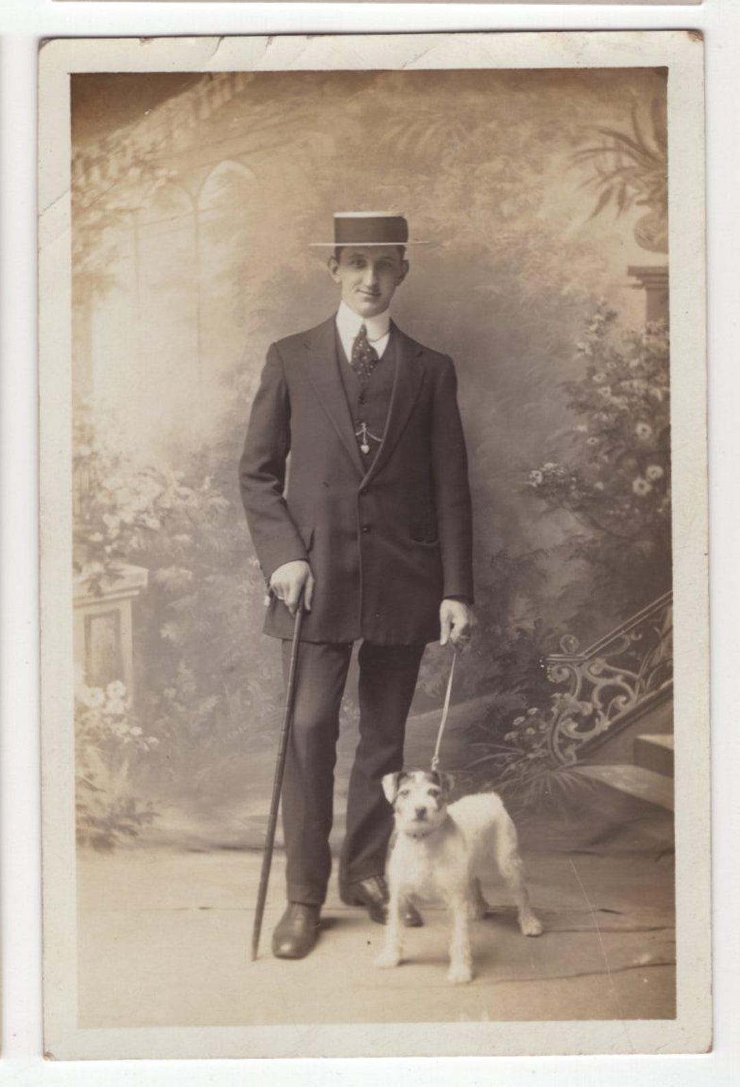 Original 1910s Dapper Young Man & Jack Russell Terrier Real Photo ...