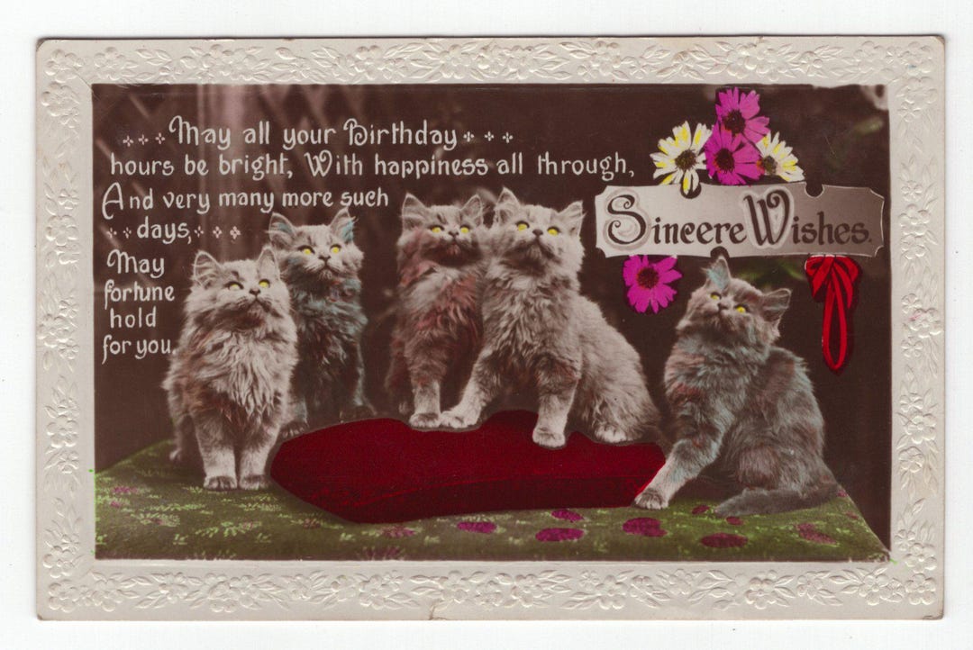 Original 1930s Persian Kittens With Flowers Hand Tinted Antique Real ...