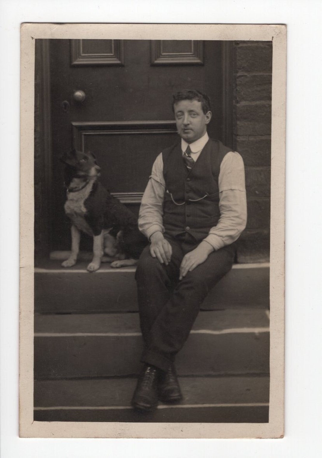 Original 1910s Man & Border Collie Real Photo Postcard Antique Vintage ...