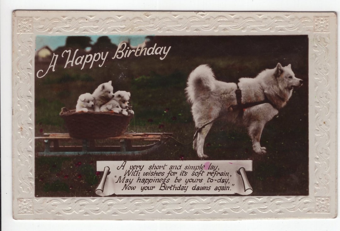 Original 1930s Eskimo Dog & Sled of Puppies Real Photo Postcard ...