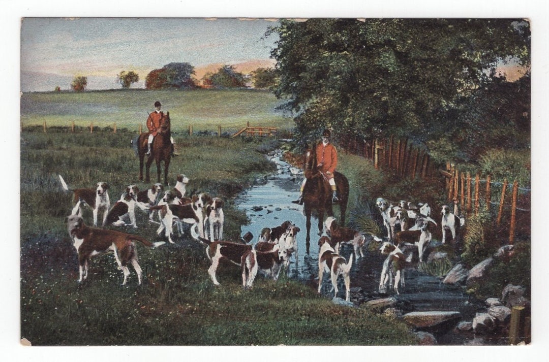 Original 1900s Huntsman, Horse & Fox Hounds Antique Postcard Vintage ...