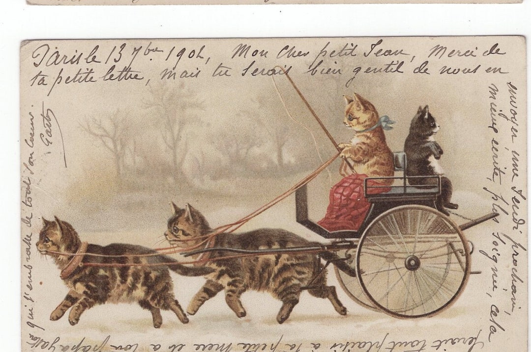 Original 1900s Cats Pulling a Cart Artist Helena Maguire - Etsy